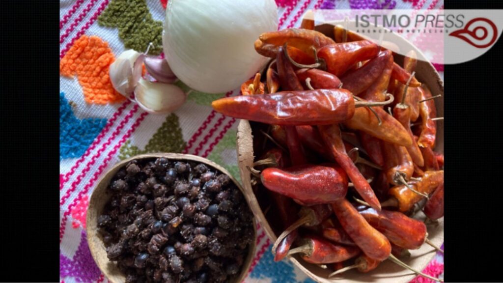 Las disidencias sexuales de los pueblos originarios también conservan ...