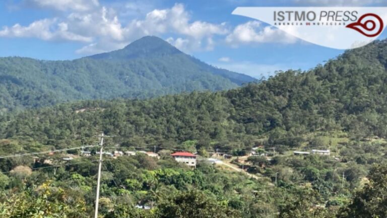 Chimalapas no será Area Natural Protegida-Reseva de Biosfera federal ...